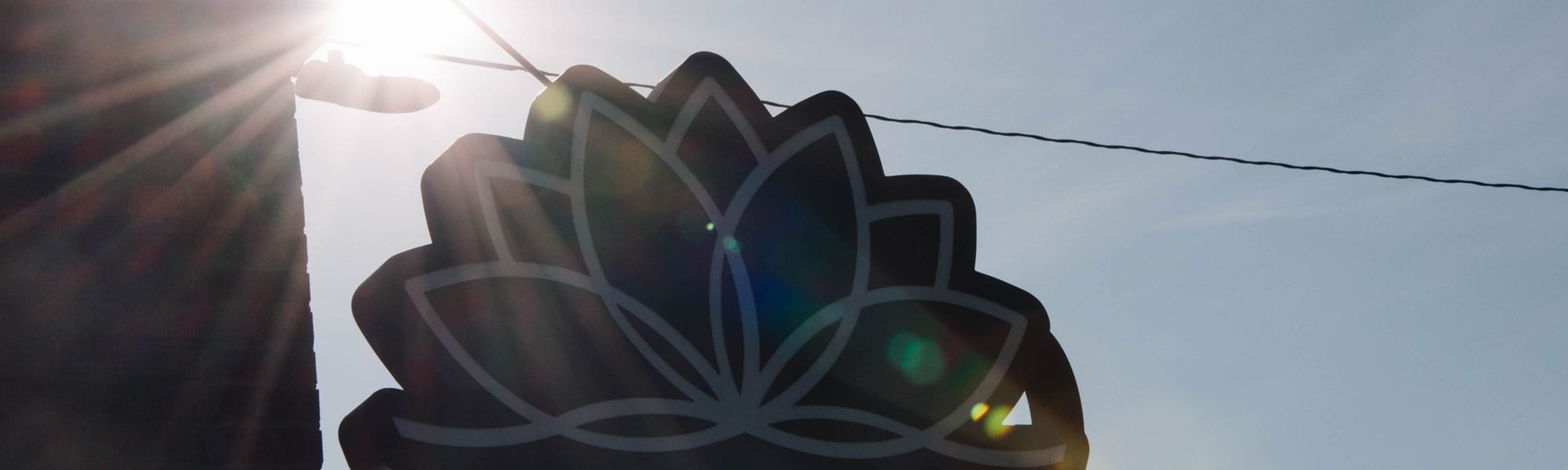 Visit Our Dispensary Near You in SODO, Seattle | Dockside Cannabis