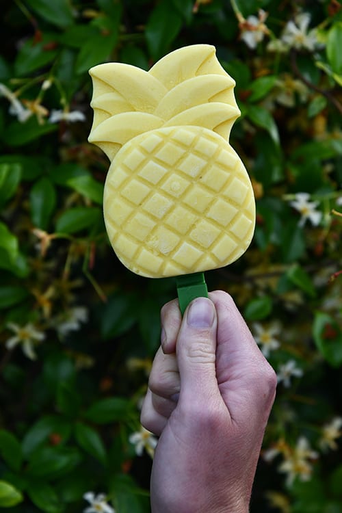 Weed Infused Popsicle Recipes You Need To Try This Summer - Dockside ...