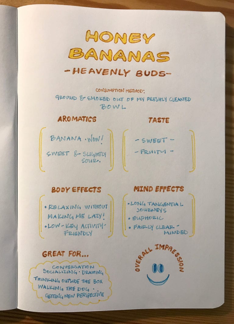 Why & How to Create a Cannabis Journal | Weed Blog | Dockside Cannabis