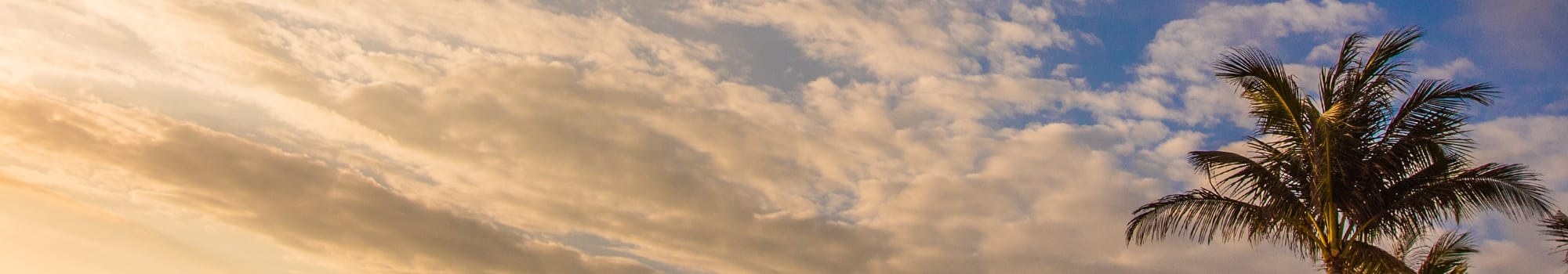 A Stoner's Guide to Spring Break (Virtual Edition) - Dockside Cannabis