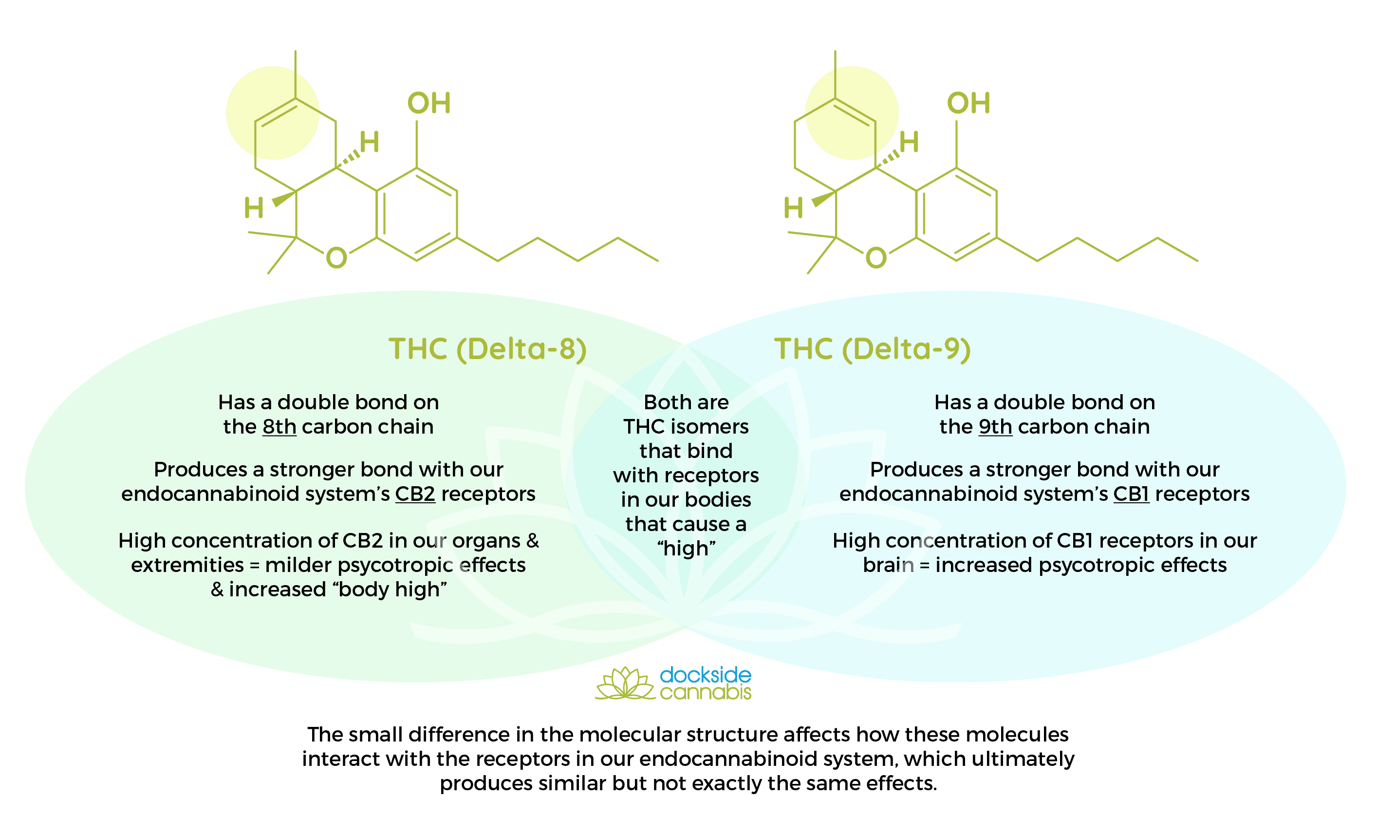 What Is Delta 8 THC Weed Blog Dockside Cannabis What Is Delta 8 THC Weed Blog Dockside Cannabis