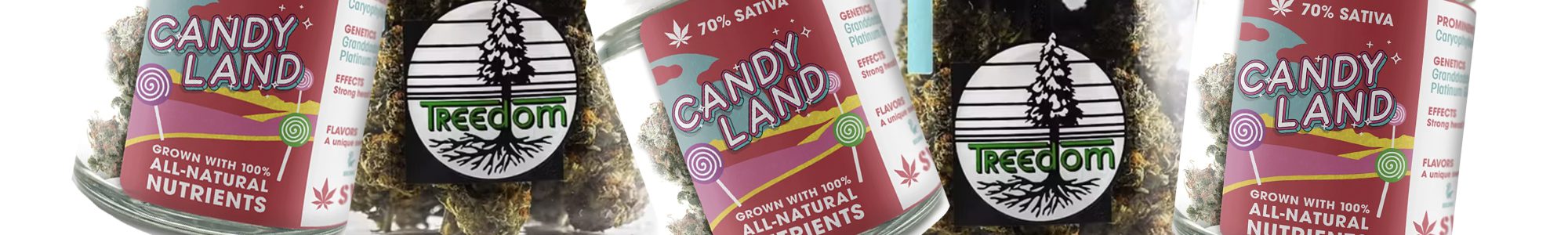 Love Letter to Cannabis: Candywrench - Dockside Cannabis