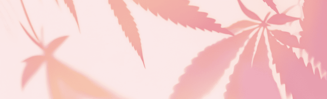 SODO Dispensary | Buy Online & Pickup In-Store | Dockside Cannabis