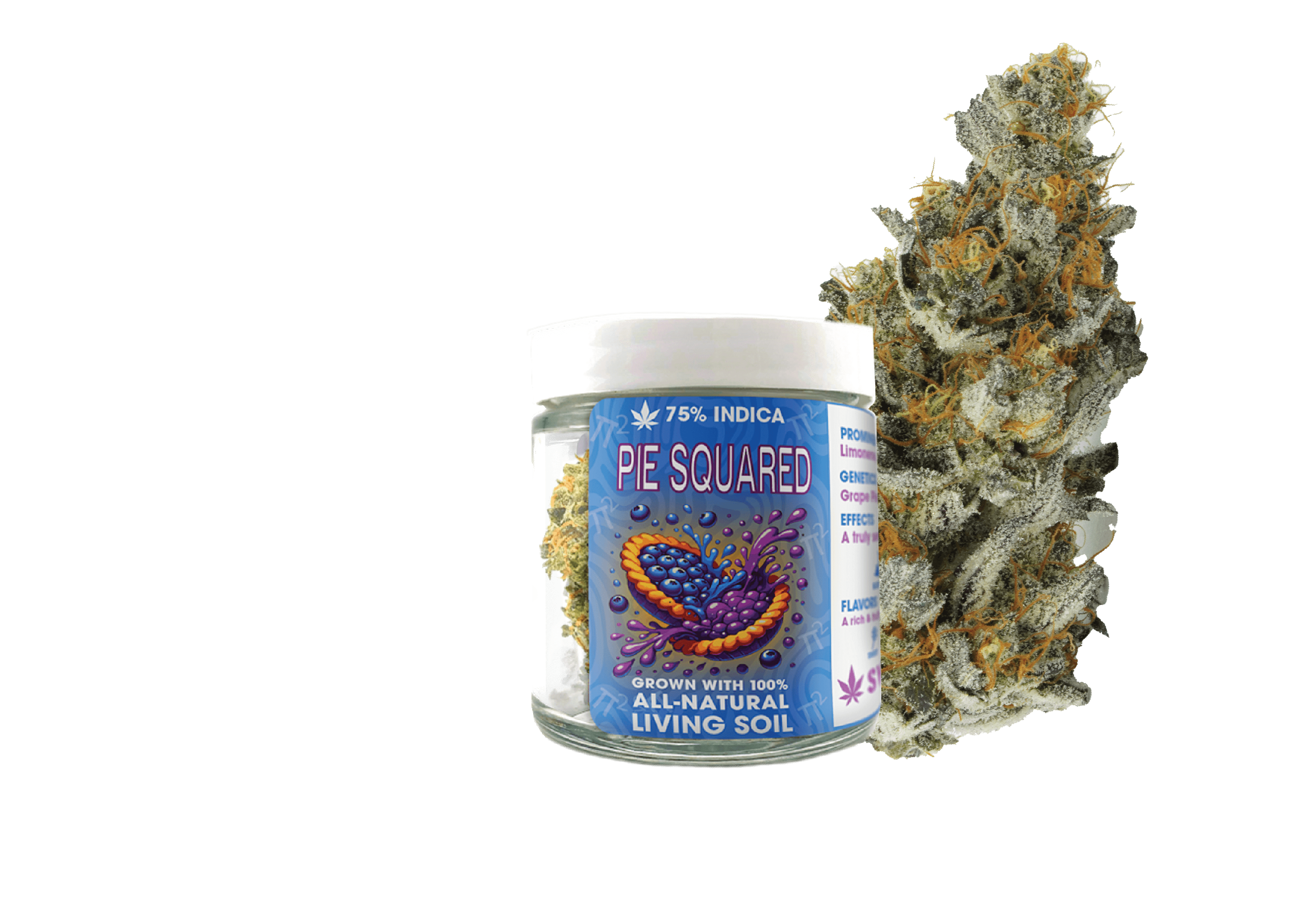 Recreational Dispensaries in Shoreline, Ballard, SODO & Green Lake ...