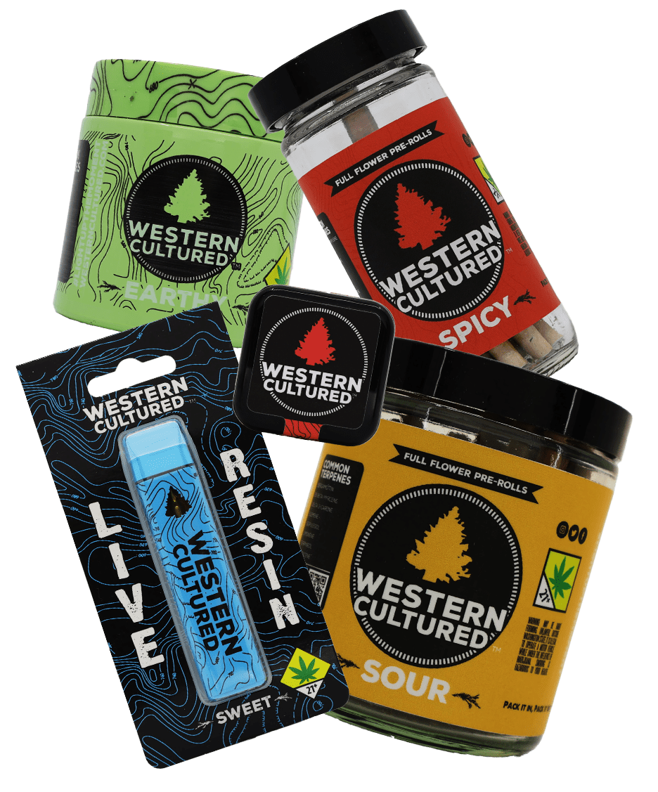 Recreational Dispensaries in Shoreline, Ballard, SODO & Green Lake ...