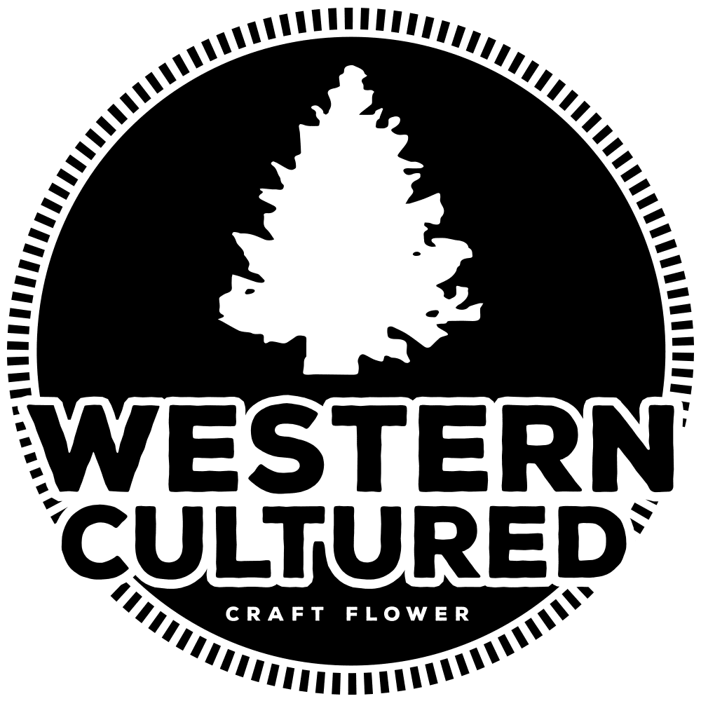 Greenlake Dispensary | Buy Online & Pickup In-Store | Dockside Cannabis